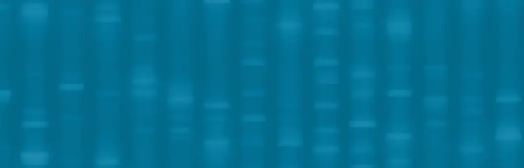 Tissue Distribution With QWBA And MARG | Pharmaron