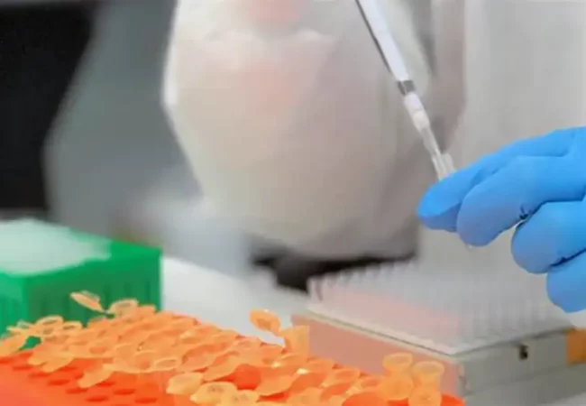 Absolute Bioavailability And IV Pharmacokinetics | Pharmaron