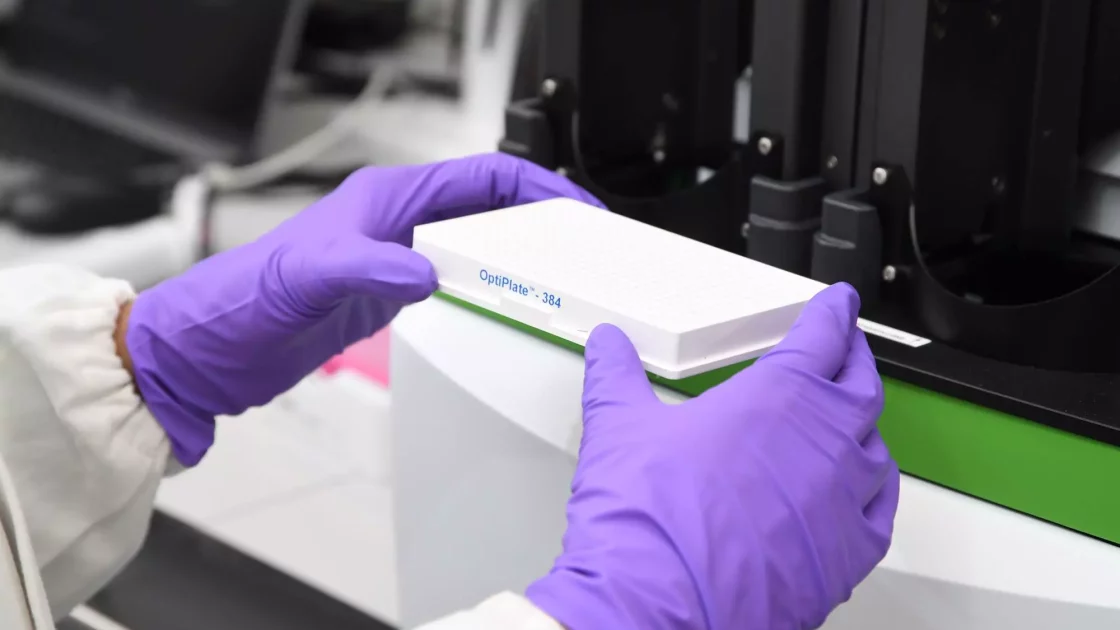 Absolute Bioavailability And IV Pharmacokinetics | Pharmaron