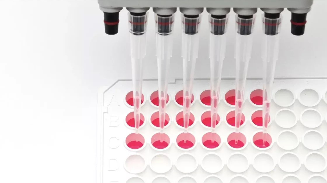 In Vitro Assay Development – Robust CGT Analysis