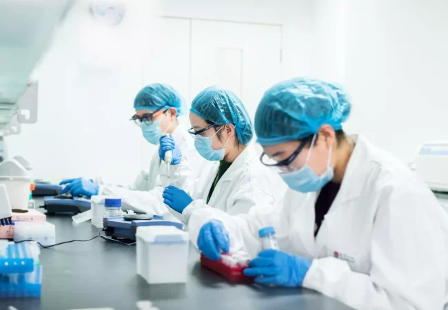 In Vivo Pharmacokinetics (PK) Services | Pharmaron