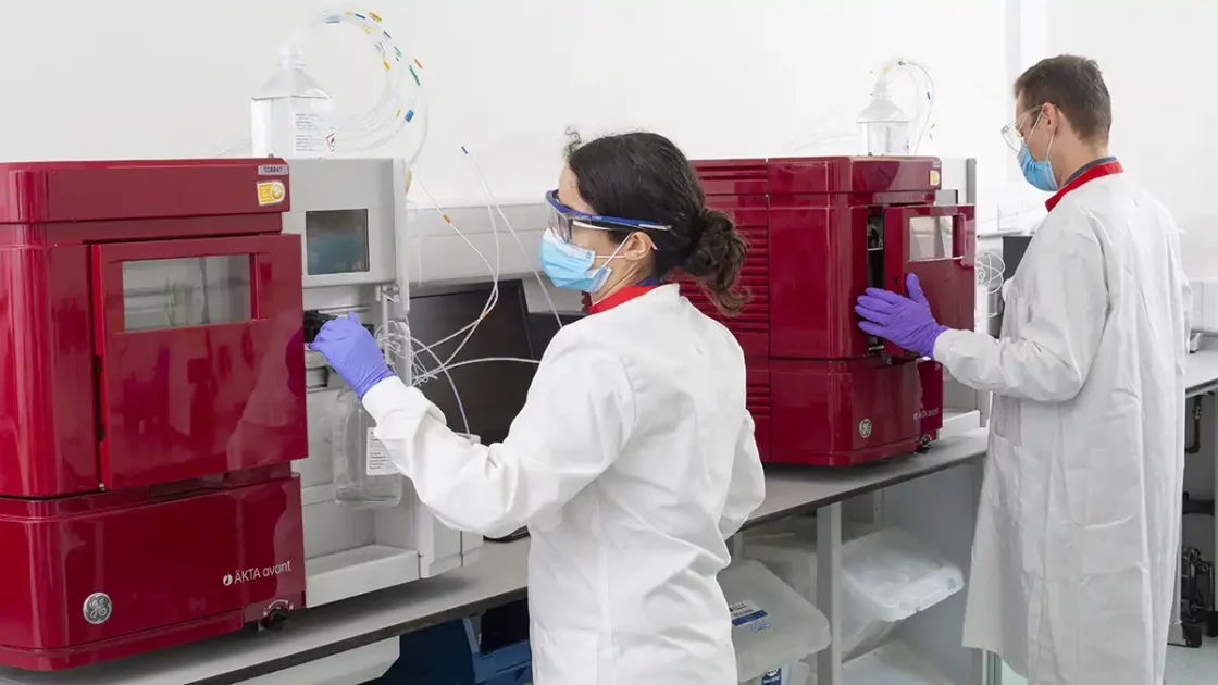 Plasmid DNA Manufacturing: GMP‑Grade & Scalable