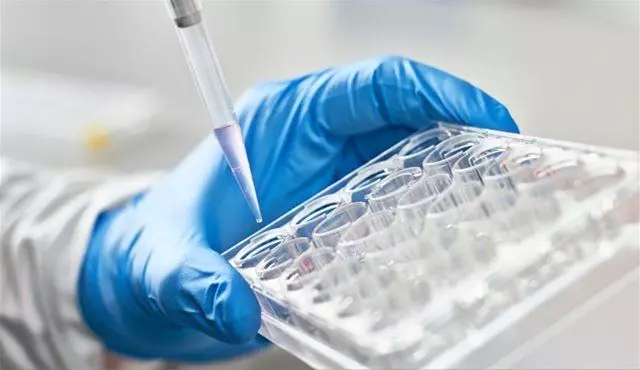 In Vitro Assay Development – Robust CGT Analysis