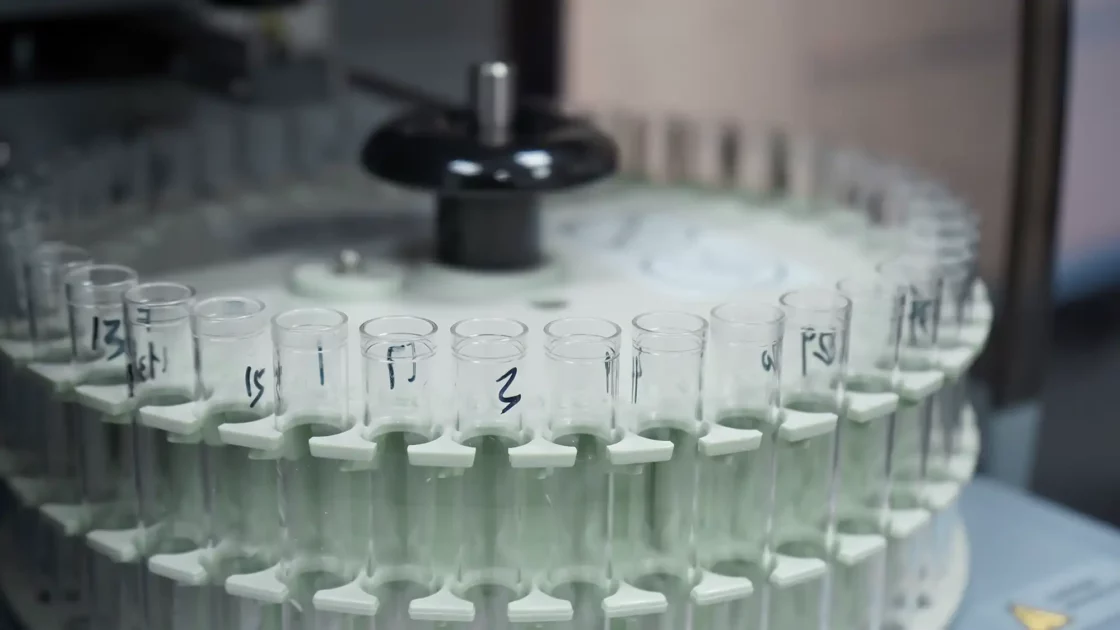 Tumor Models / Oncology CRO Services