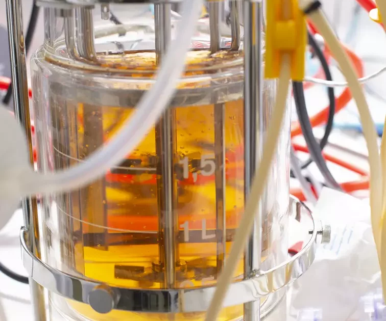 Plasmid DNA Manufacturing: GMP‑Grade & Scalable