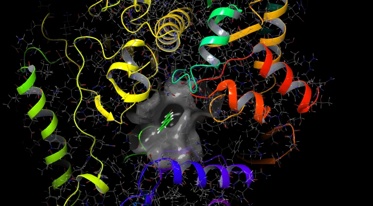 Computer-Aided Drug Design | Pharmaron