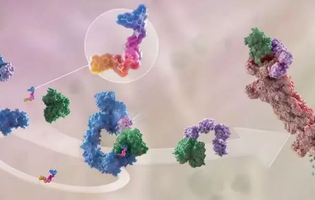 Protein Degraders | Pharmaron