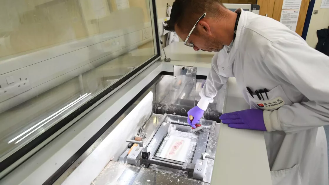 Radiolabelled Metabolism And Biodistribution | Pharmaron