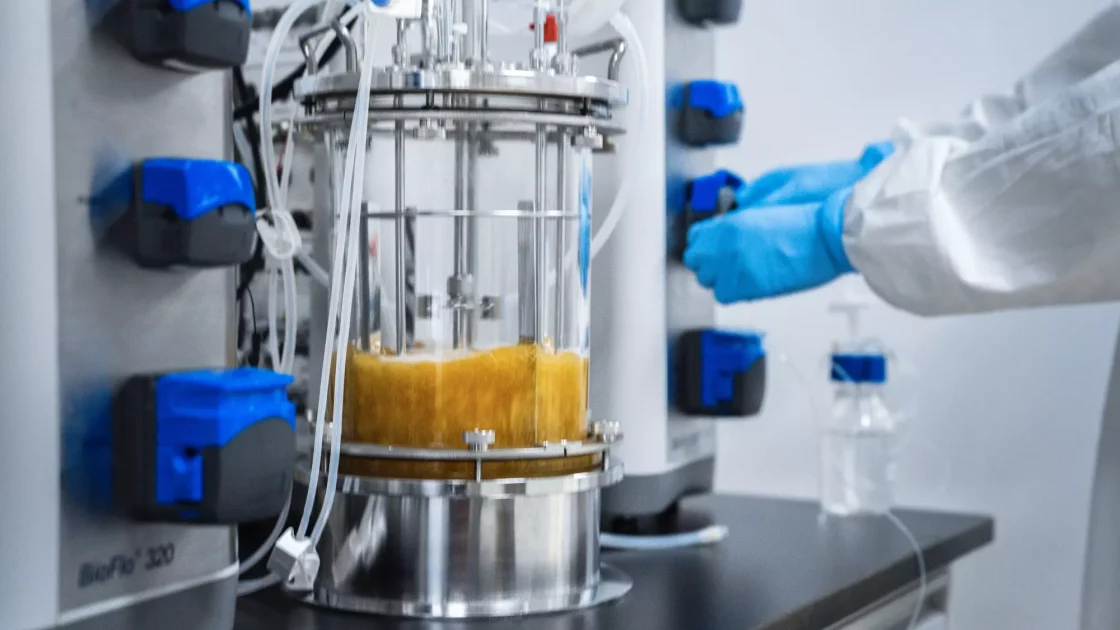 Viral Vector Process Development – CGMP Scale & Analytics