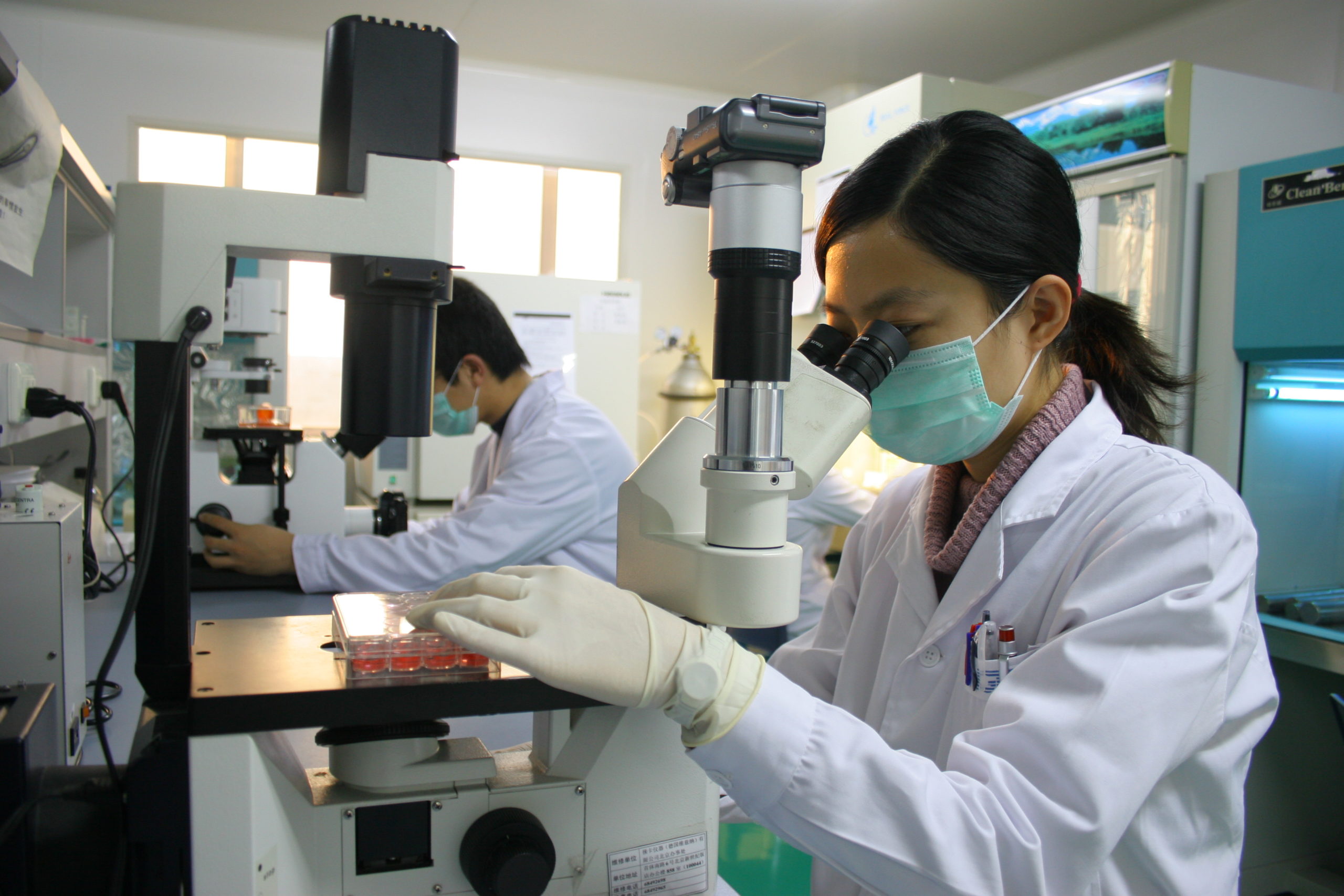 Striving for Success - Pharmaron