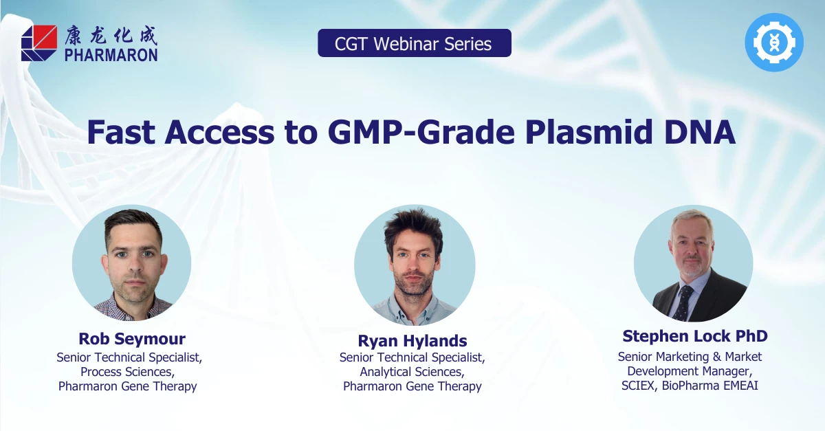 Fast Access To GMP-Grade Plasmid DNA