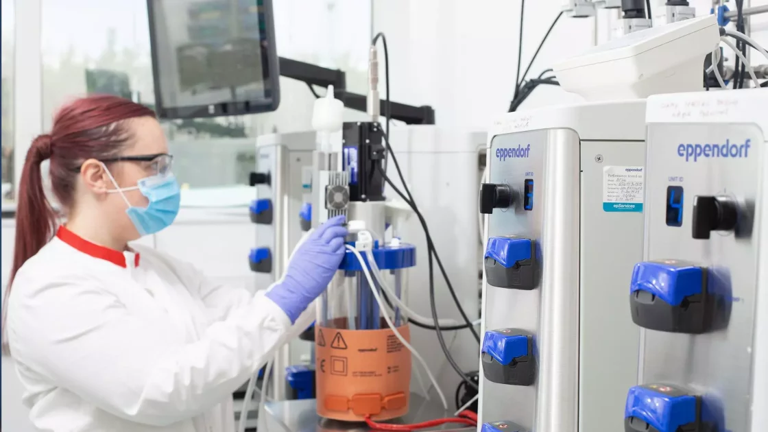 Viral Vector Process Development – CGMP Scale & Analytics