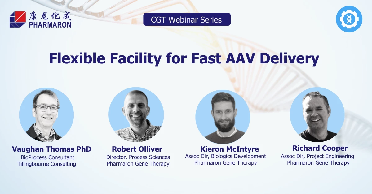 Flexible Facility For Fast AAV Delivery