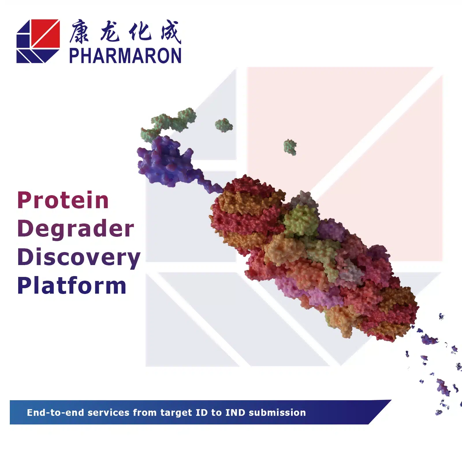 Targeted Protein Degradation I Pharmaron CRO Services