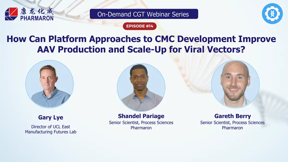 CMC Platform Approaches To Improve AAV Production