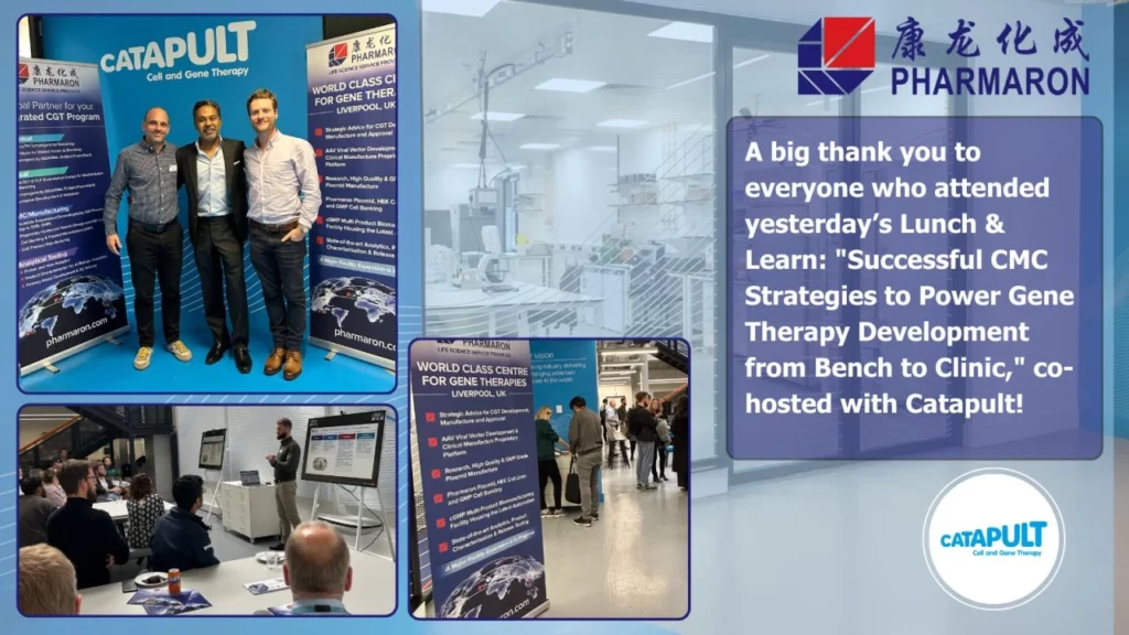 CMC Strategies for Gene Therapy Development