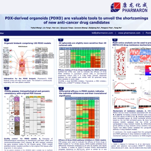 Cellular Disease Models I Pharmaron CRO Services