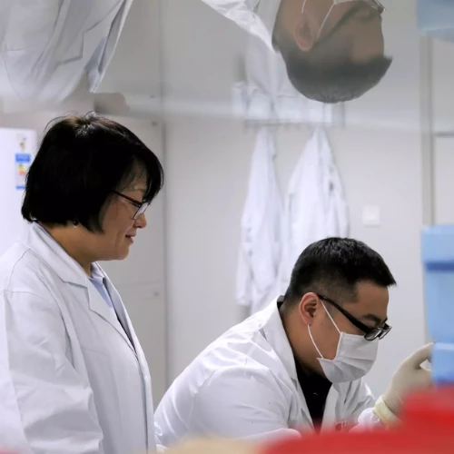 In Vivo Models For Efficacy Testing I CRO Services