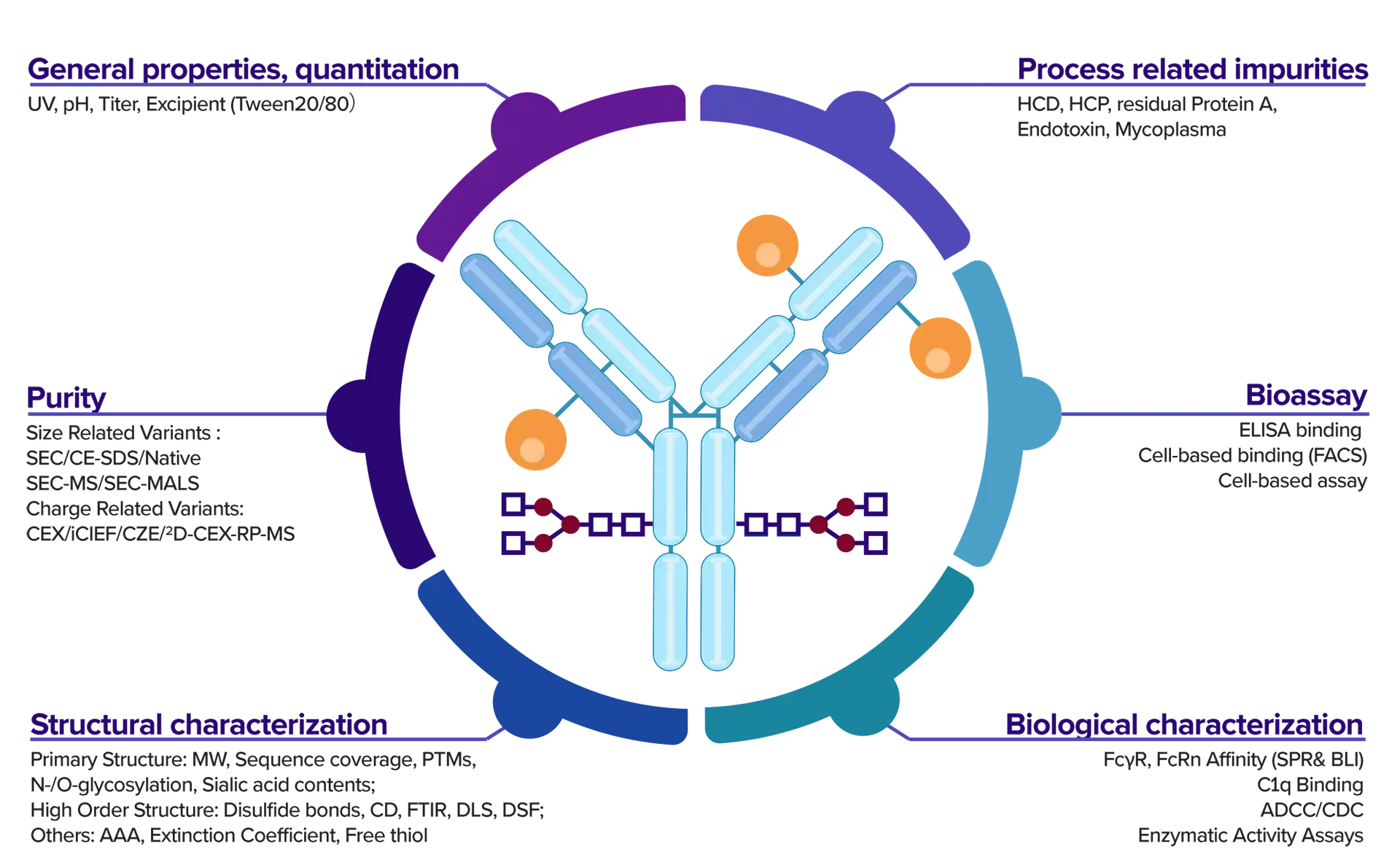 Analytical Development And Quality Control