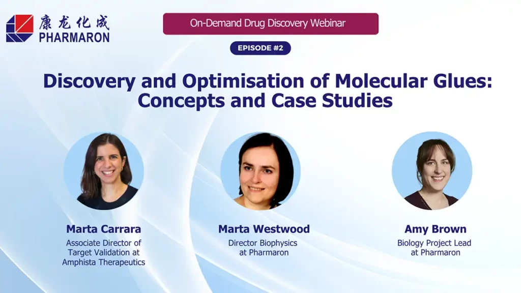 Molecular Glues In Drug Design: Novel Therapeutic Strategies