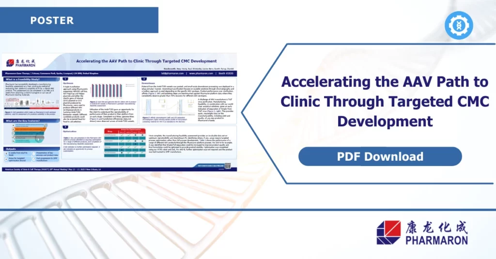 Targeted CMC Development For AAV: Platform To GMP
