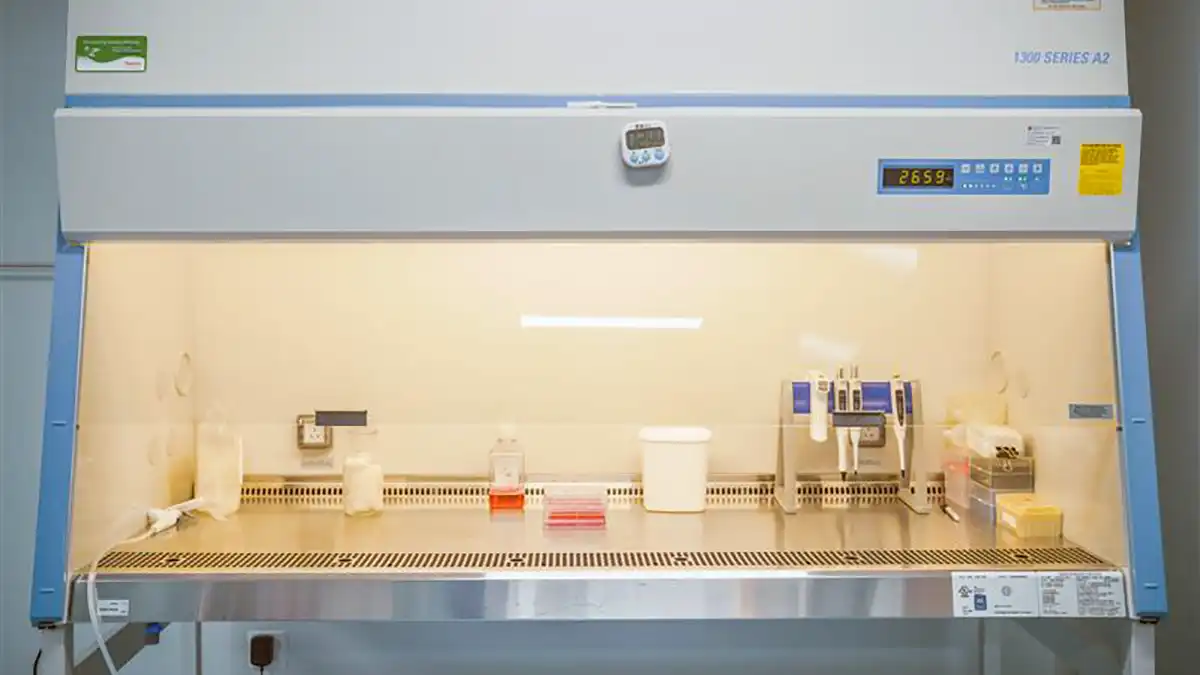 FDA Roadmap: NAMs In Preclinical Safety Studies