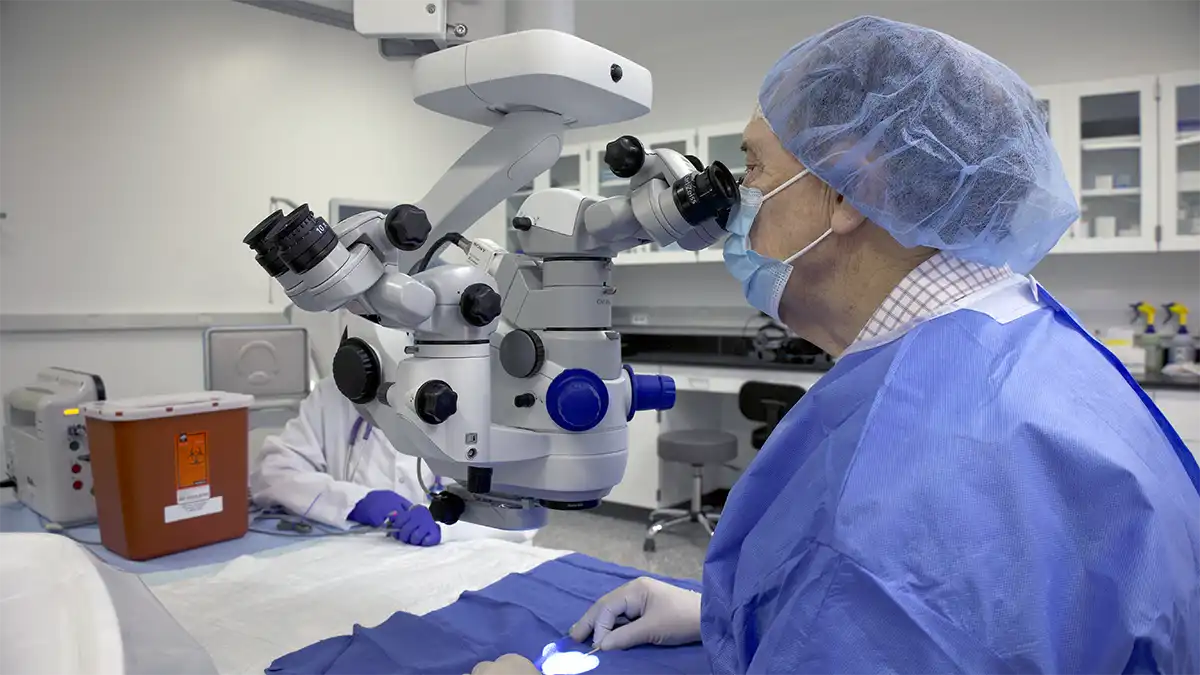 Ocular Device Testing | Preclinical Evaluation Services